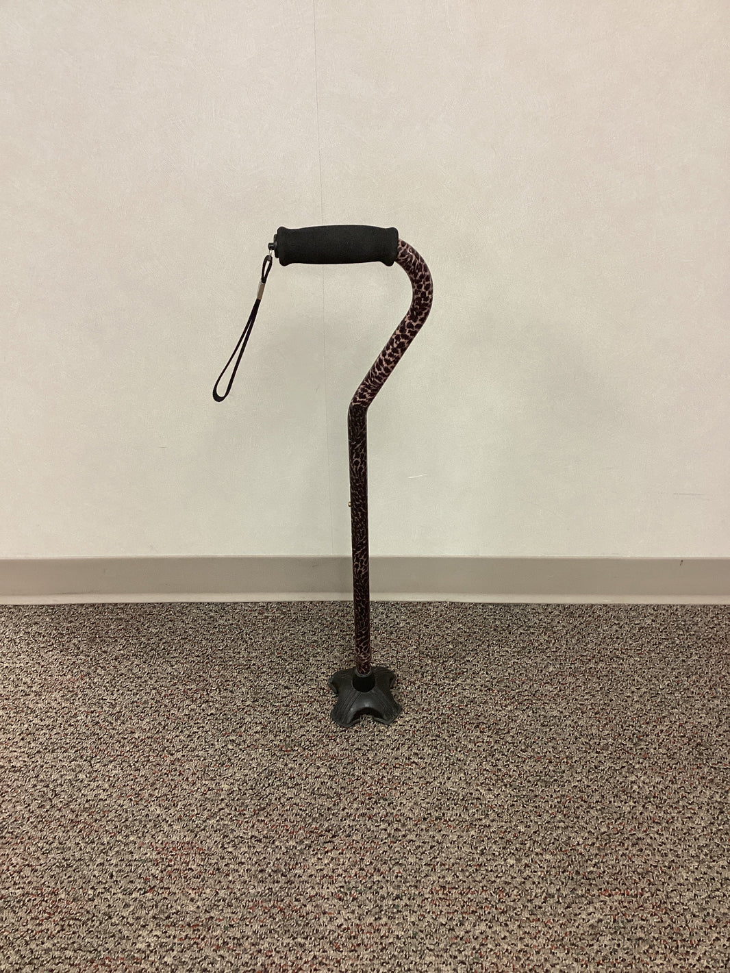 Canes – MELP Rentals